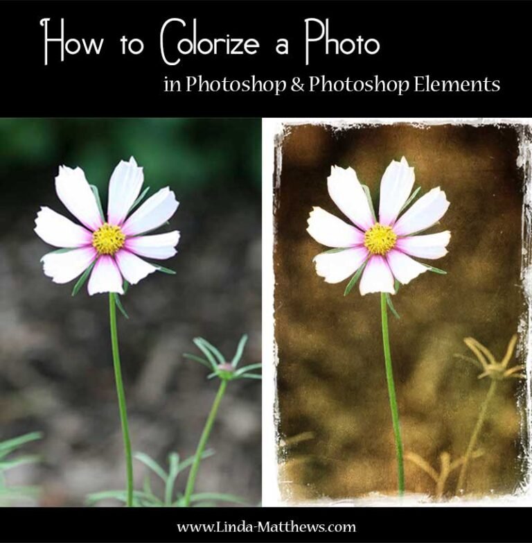 Tag: Photoshop - Linda Matthews